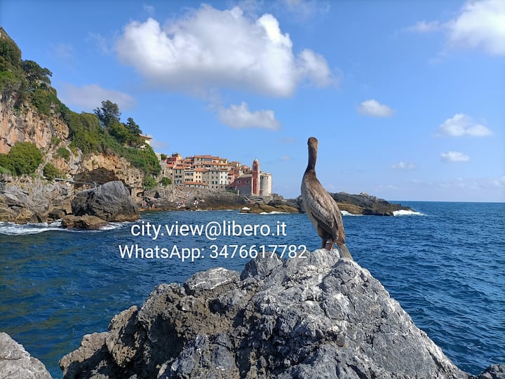 City View! Panoramic Apt Overlooking La Spezia - La Spezia