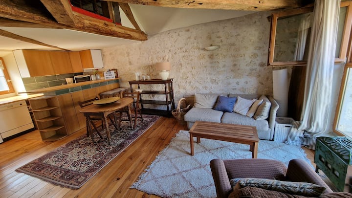 Charmant Studio Avec Jardin Privé à Provins - Provins