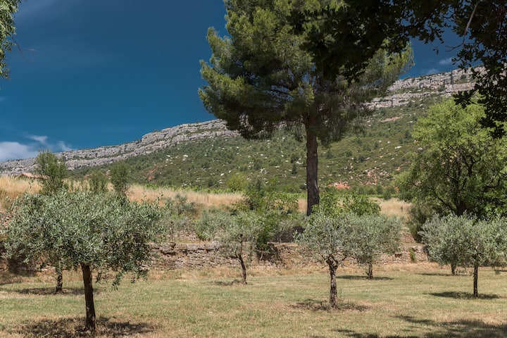 Charmant Gite En Rdc Au Cœur D’un Vignoble - Rousset