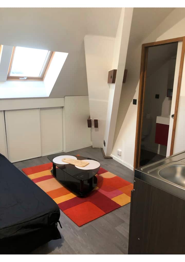 Studio Rénové En Hyper Centre - Ibis Styles Tours Centre
