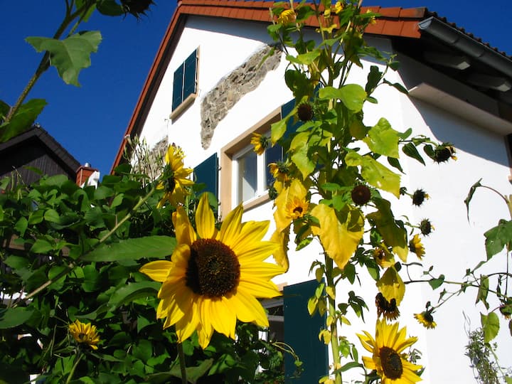 Ferienwohnung Girasole - Hofsgrund