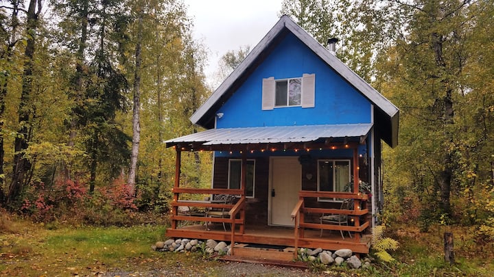 Talkeetna Blueberry Chalet: Enjoy The Woods! - Talkeetna, AK