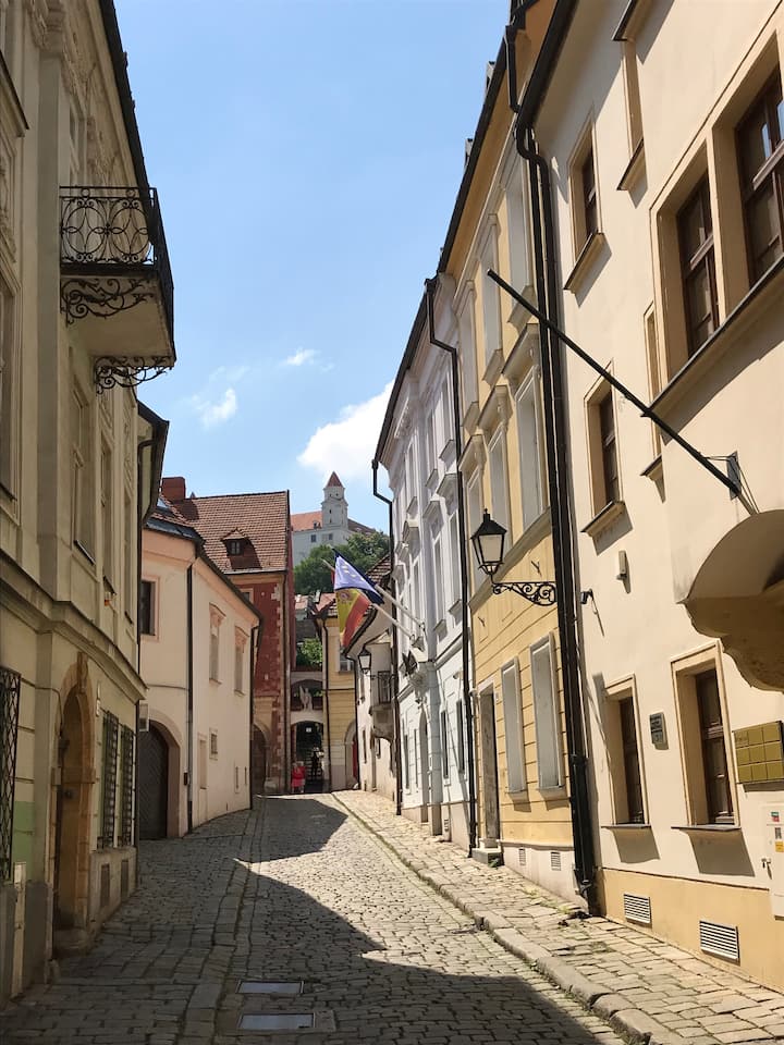 Pedestrian Zone Cozy Apartment - Bratysława