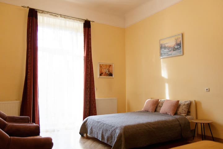 2-кім квартира біля Палацу Мистецтв Коперника 17. - Lviv