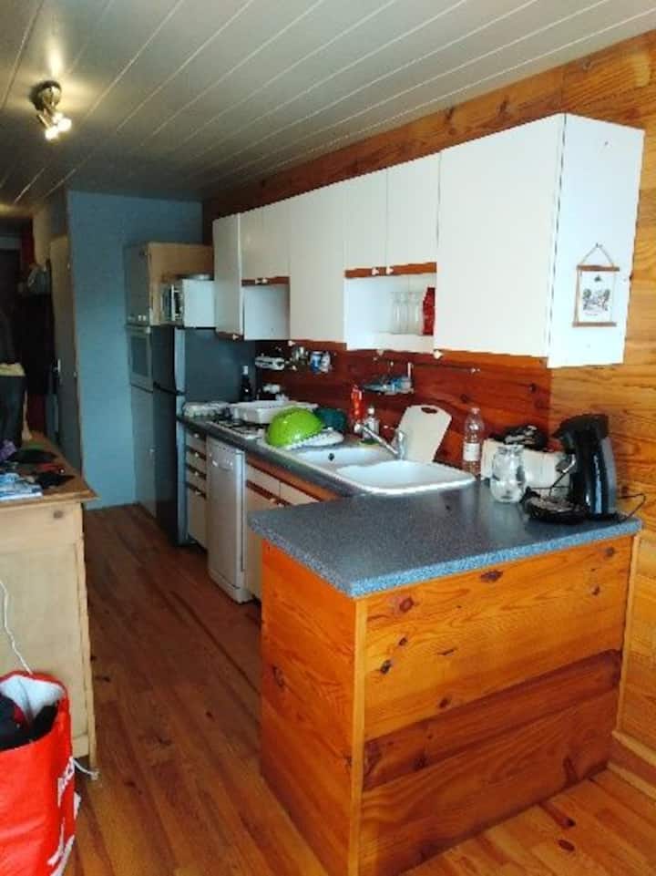 Appart(45m2)a Pied Pistes/tyrolienne,vue Montagne. - Chamrousse