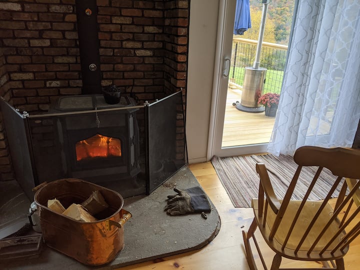Country Mountain Home With View Of Gorge - Roxbury, NY