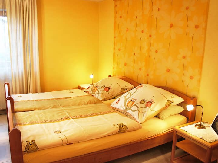 Schöne Wohnung Auf Dem Dorf - Bad Krozingen