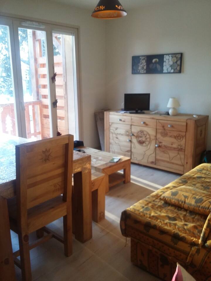 T2 Cabine Confortable, Forêt, Pistes Et Commerces - Bourg-Madame