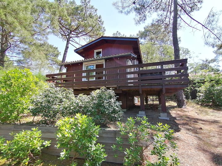 Chalet Les Forestières, Entre Lac Et Océan - Maubuisson