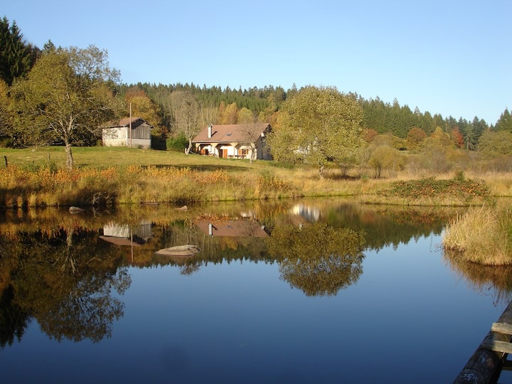 Gite "Le Petit Tholy" Au Cœur Des Hautes Vosges - Gérardmer