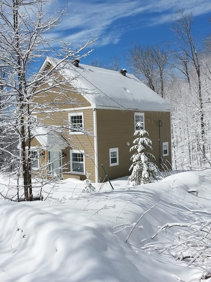 Luxurious Chalet In Domain Alpine - Saint-Sauveur