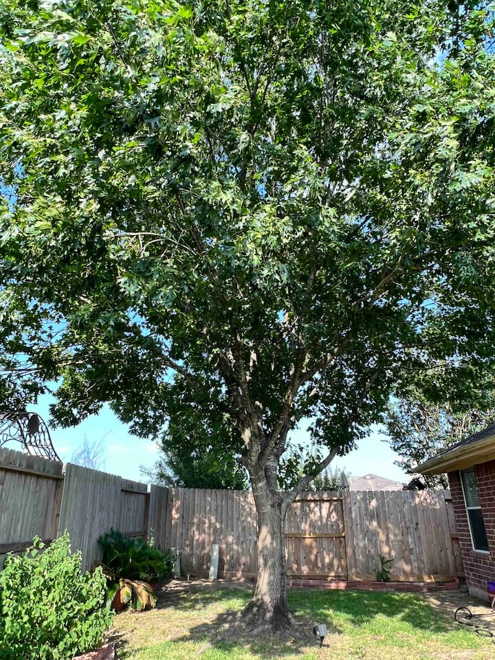 Home Away From Home - Tomball, TX