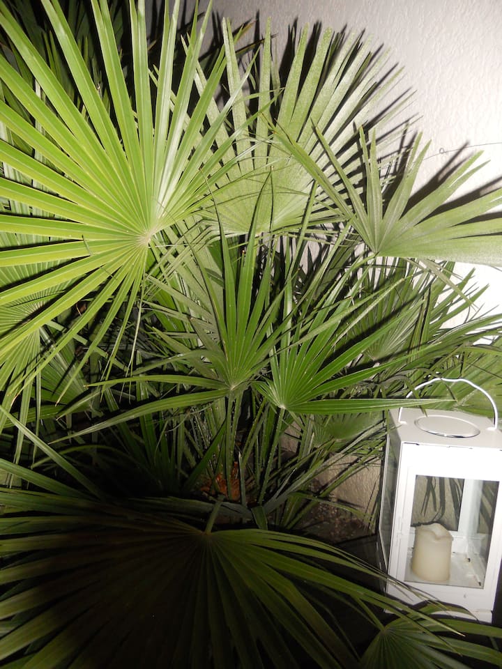 Jolie Maison Avec Grande Terrasse - Mérignac
