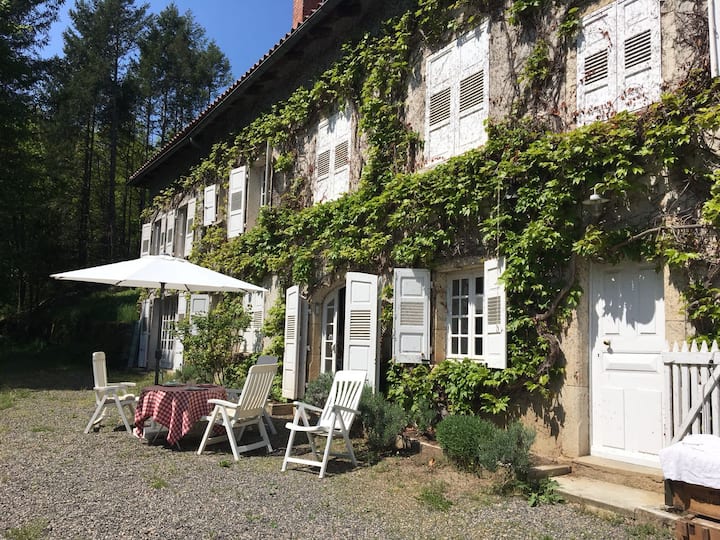 Au Calme Dans Un Ecrin De Verdure Logt Non Partage - Le Puy-en-Velay