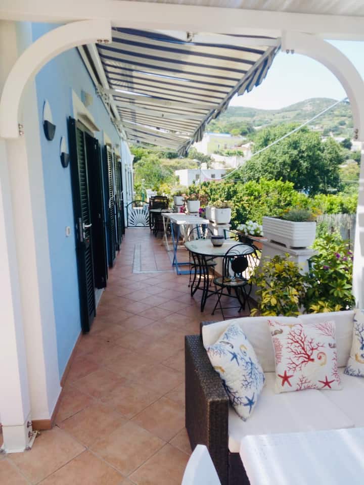 “La Peonia” Zona Santa Maria -3891060967 - Ponza
