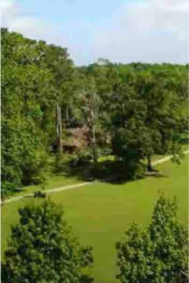 #2 Cottage Woodlands Pet Friendly Golf Course - Lake Conroe, TX
