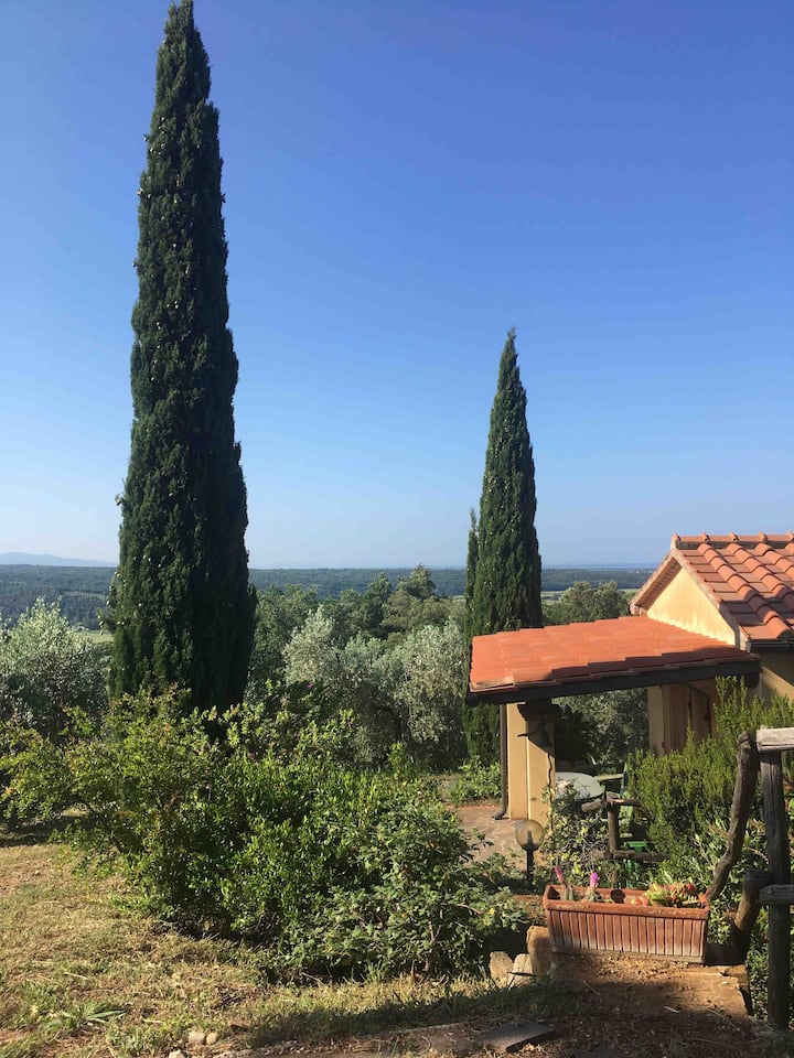 Casa Belvedere -Tranquillità Tra Bosco E Ulivi- - Cecina