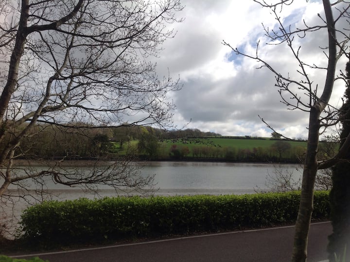 Spacious Double Ensuite Close To Airport And Ferry - Cobh
