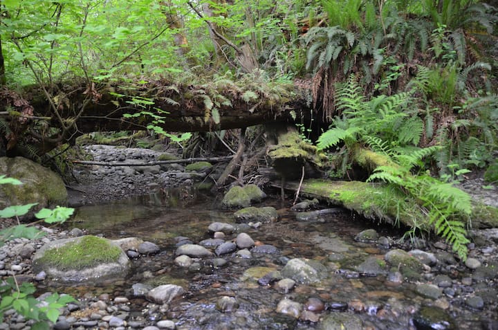 Urban Oasis 1 - Nature Tranquility - ラングリー