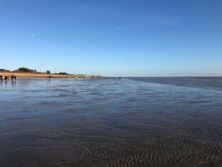 Spacious Seaside Home With Links To Bloomsbury Set - Arundel