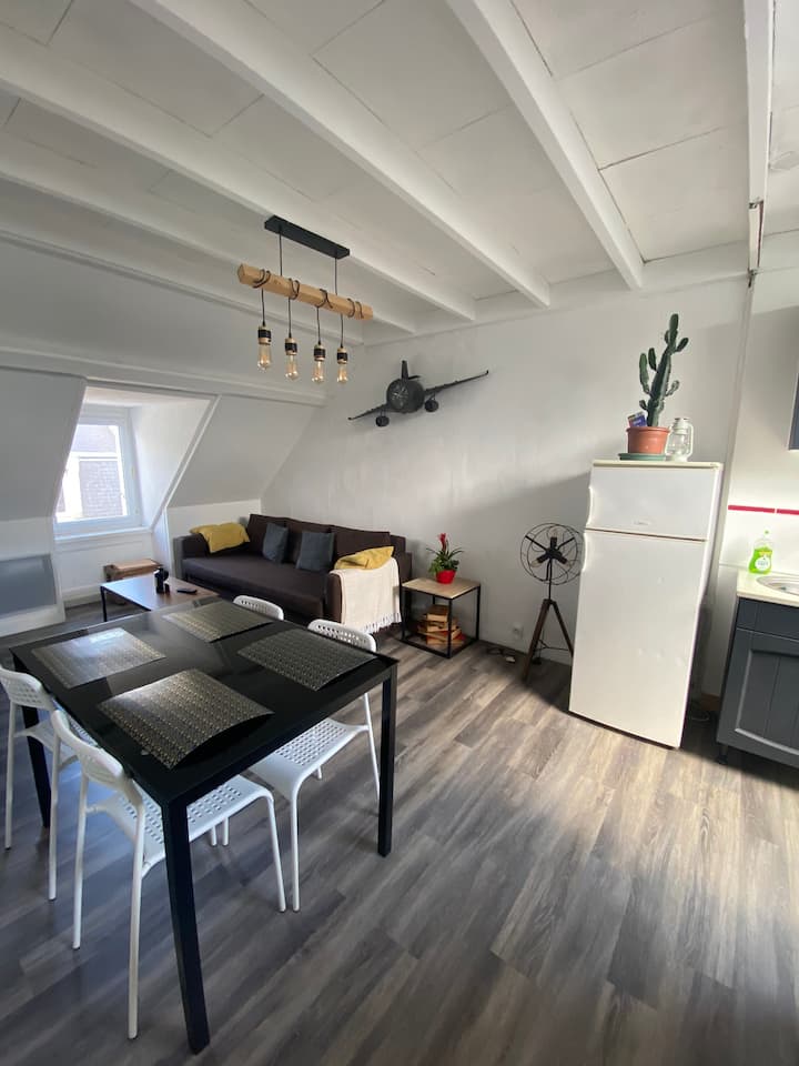 Wing Flat ✈️ Cherbourg Centre 800m Naval Group - Cherbourg-Octeville