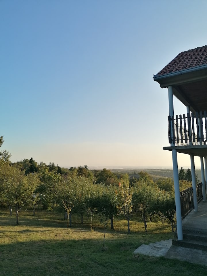 Rest House Vrdnik - Vrdnik