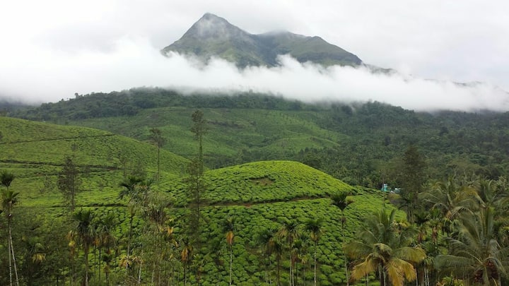 Poonoor Holiday Rentals & Homes - Kerala, India | Airbnb