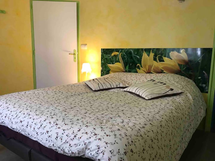 Chambre Tulipe Dans Village Viticole - Arbois