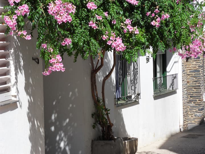 Apartamento Des Traire Hutg-015534 - Cadaqués