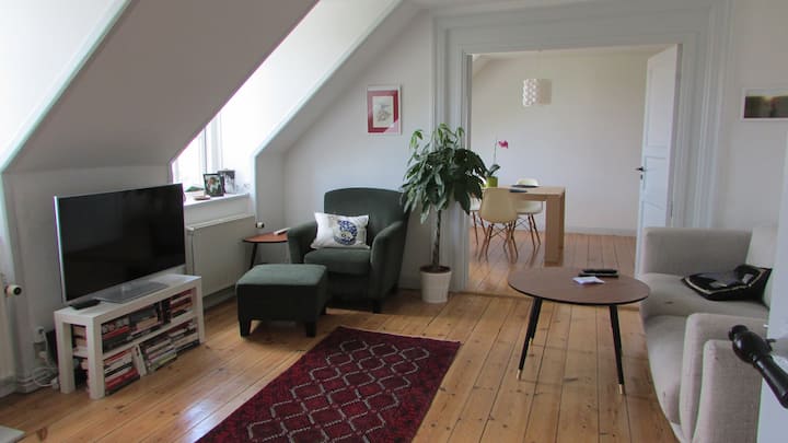 Scandinavian Style Penthouse In Copenhagen, 4 Room - Copenhagen