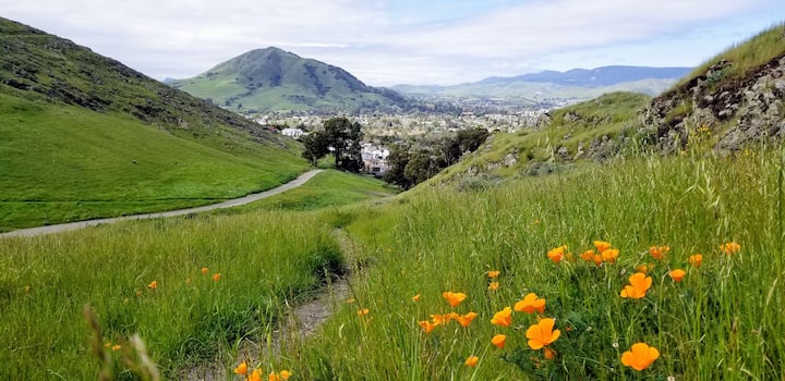 Bluerock Retreat-outdoor Livng 1.5 Mi. To Dtwn Slo - San Luis Obispo, CA