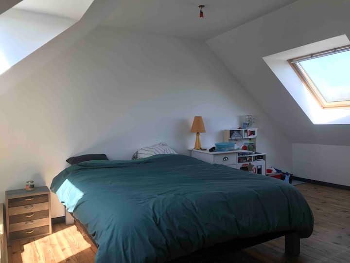 Maison 135 M2- Bord De Mer Avec Jardin Et Terrasse - Concarneau