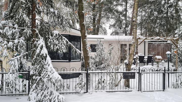 Veluwe Natuurhuisje: Direct Aan Kroondomein - Vaassen