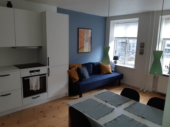 Cosy Apartment In The Heart Of Copenhagen - Copenhaguen