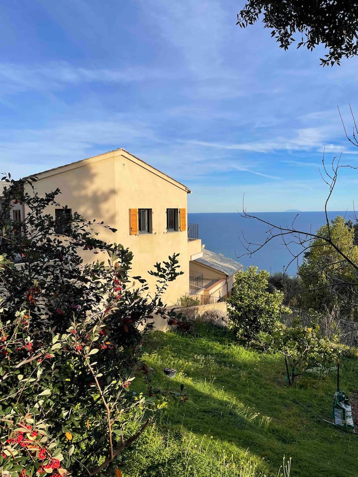 Calme, Vue En Balcon Sur La Mer - Brando
