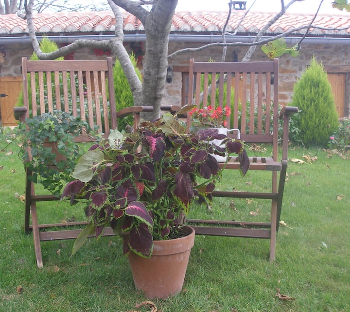 Habitacion Con   Cocina , Zona Rural Bermeo. - Munguía