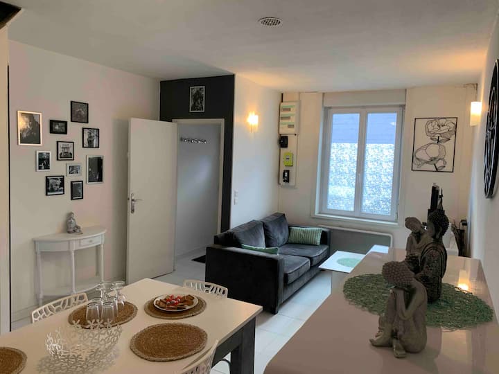 Maison Secteur Lille 8 Personnes - Lille