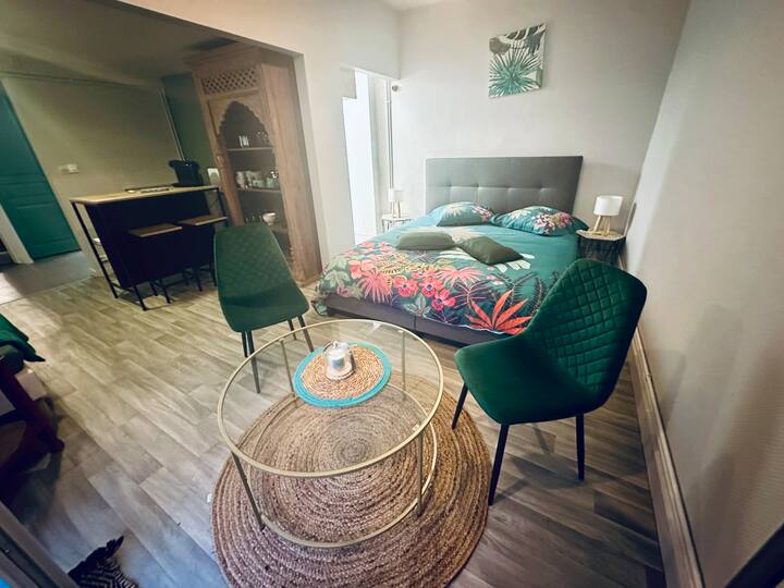 Studio Indépendant Avec Jardin - Tours
