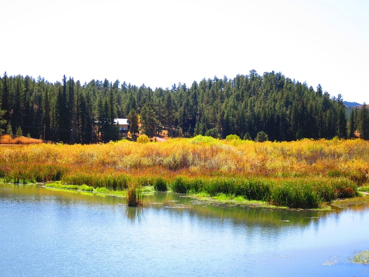 Pikes Peak Retreat Panoramic Mountain View Trails - Colorado Springs, CO