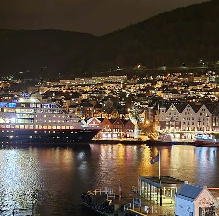 Central, Lovely Apartment With A Unique View - Bergen, Noruega