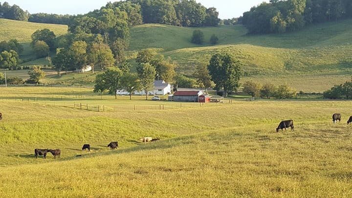 Caddywhompus Cottage - Lynchburg, TN