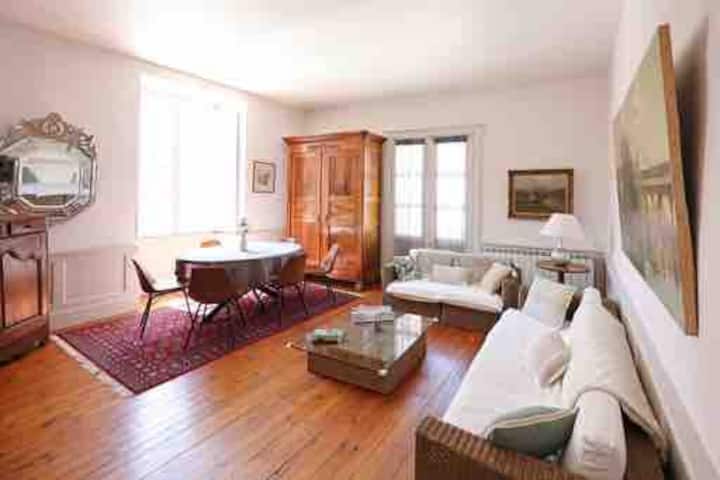 Appartement De Standing Hôtel Particulier Fenasse - Albí