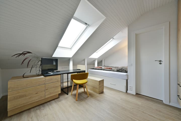 Domillion 2bdr 2bath On Vokieciu W Parking V1020a - Vilnius