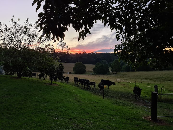 The Bucca Hideaway- Bush And Beach Escape - Coffs Harbour, Australia