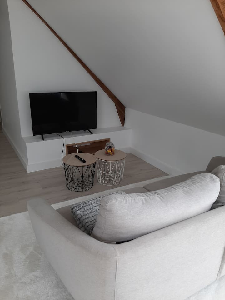 Combles Cosy - Pontchâteau