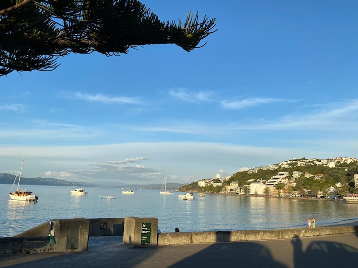Beach Front House In Oriental Parade - Wellington, Nueva Zelanda
