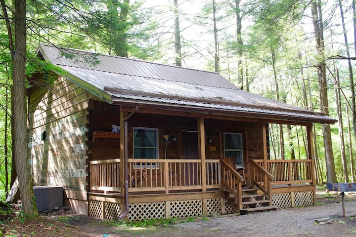 The Ashley Cabin @ Elk Springs Resort - Kumbrabow State Forest, Huttonsville