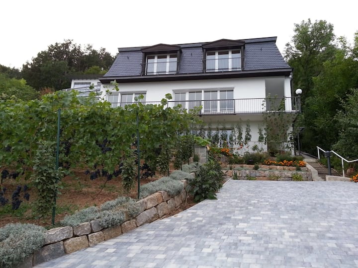 2 Zimmer Apartments Am Idyllischen Wohnen Weinberg - Bad Kissingen