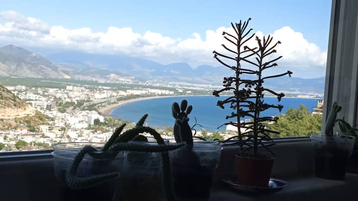 Binamızda üCretsiz Otopark Ve Wifi Bulunmaktadır.
Deniz Manzaralı Bahçemizde Ki Mangalımızdan Yararlanabilirsiniz. - Finike