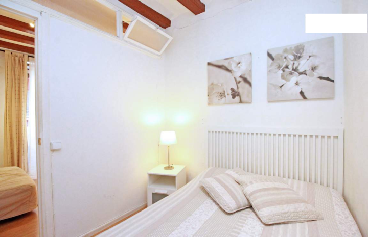 Dans Le Coeur De Barcelone Deux Chambres Lumineux - Barcelona